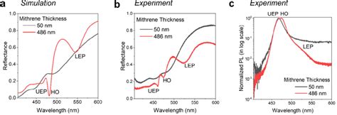 Room Temperature Exciton Polaritons In Mithrene A Transfer Matrix