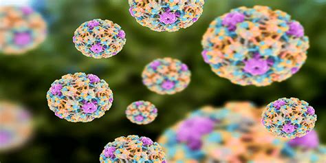 Kadın ve erkeklerde HPV enfeksiyonu HPV Türk Forum Yorumla