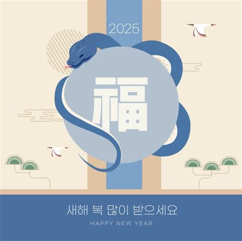 을사년 2025년 복 일러스트 ai 다운로드 download Year of the Pig 2025 어반브러시