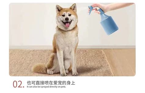 杜邦卫可盒装50G 宠物猫狗环境消毒粉除臭细小犬瘟猫瘟消毒剂杀菌 阿里巴巴