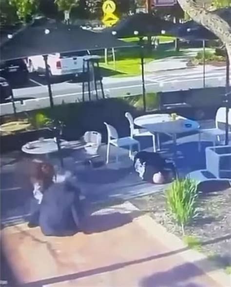 The Senseless Crimes Of Melbourne Gangster Gavin Capable Preston