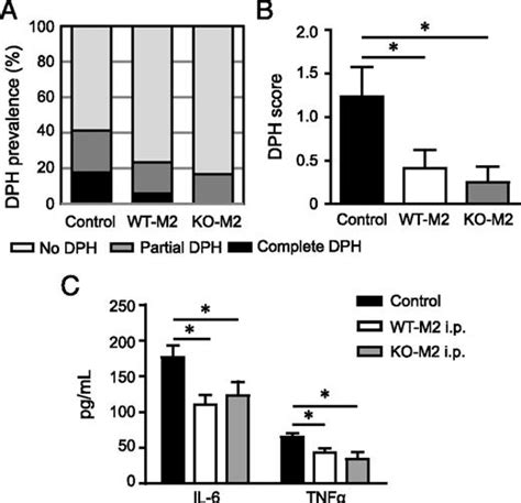 Pristane Induced Granulocyte Recruitment Promotes Phenotypic Conversion