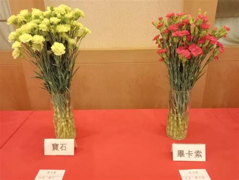 「花現幸福美好馨情」 田尾鄉今舉行康乃馨行銷推廣 亞太新聞網 Ata News