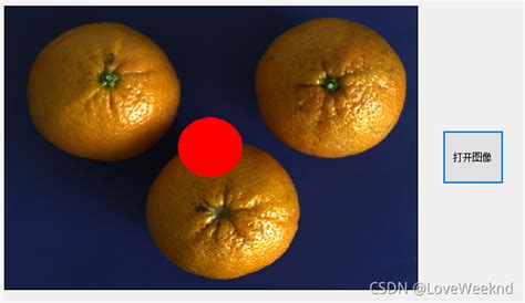 Cclr托管模式下接收c端传递的图像进行处理和显示及不同变量类型转换和值的互传cvector C Csdn博客