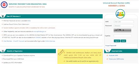 UAN Aadhar Link How To Link Aadhar With UAN Via Online Offline