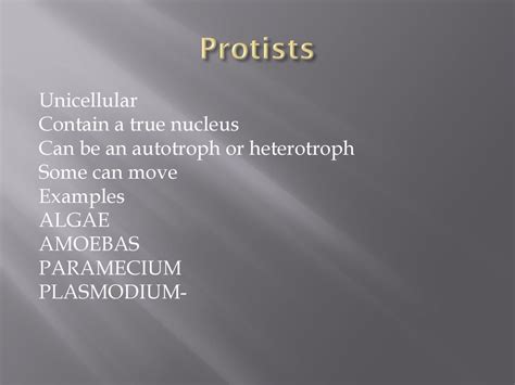 Classification Of Living Things Ppt Download