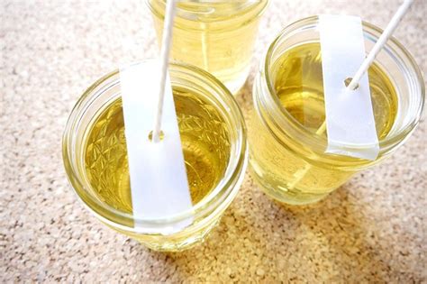 Homemade Soy Candles Diy T