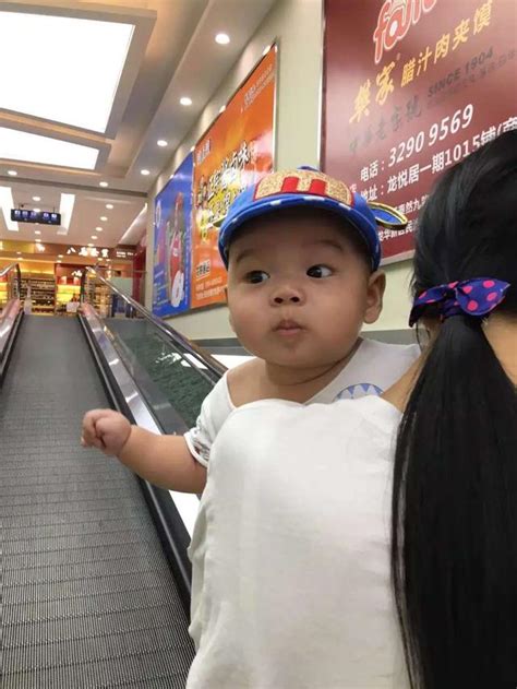 帶小香豬坐飛機 每日頭條