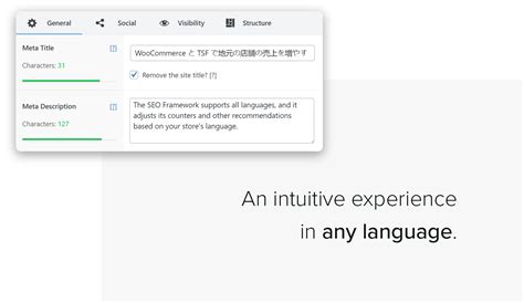 The Seo Framework Premium Woocommerce Marketplace