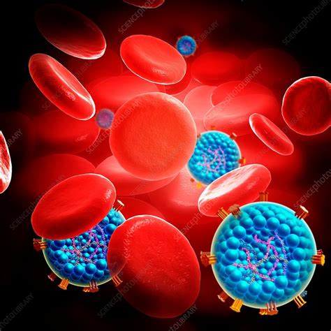 HIV Particle Illustration Stock Image F Science Photo Library