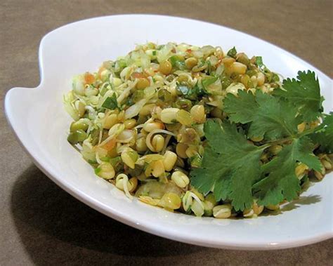 Sprouted Mung Beans Salad Recipe Bryont Blog