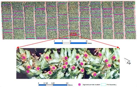 Figure 4 From A Deep Learning Semantic Segmentation Based Approach For