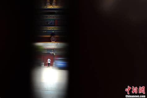 加拿大沉船滩举行裸体跑 选手纷纷全裸出动 中新网
