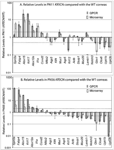 Validation Of Microarray Results By QPCR Analysis Of The Expression Of