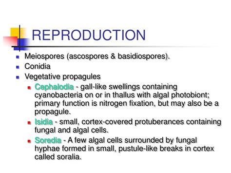 Ppt Ib 371 General Mycology Powerpoint Presentation Free Download