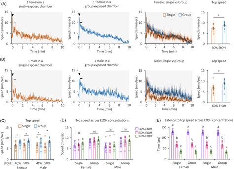 What Happens To Your Brain When You Drink With Friends