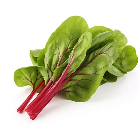 Acedera Con Fondo Blanco De Alta Calidad Ultra Hd Foto Premium