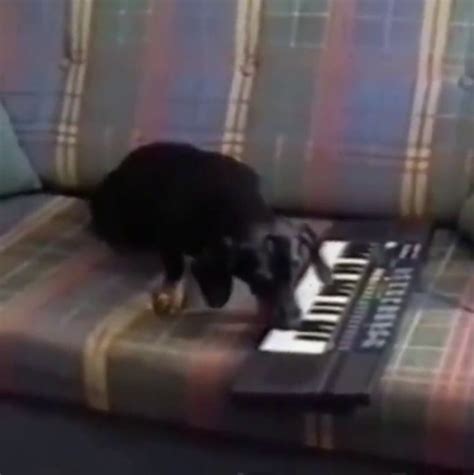 I Love This Song Tumbex