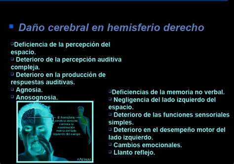 Psicología y Daño Cerebral mayo 2011