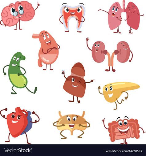 Human Organs With Funny Emotions Cartoon Vector Image The Best Porn