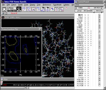The Main Interface Of The Swiss PDB Viewer Download Scientific Diagram