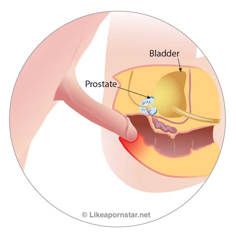 How To Bottom Like A Porn Star YASS Magazine