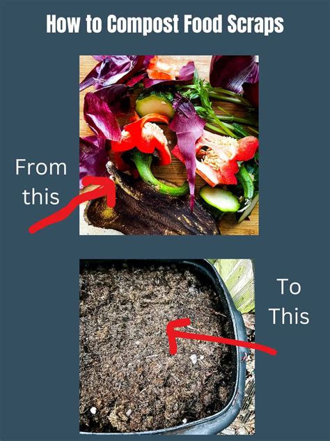 How To Compost Food Scraps At Home A Simple Guide To Reducing Food