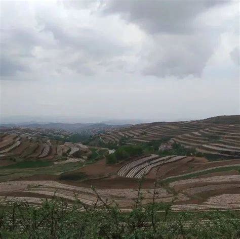 深化水土保持改革 加快生态文明建设 书写黄河上游的“绿色华章”——甘肃临洮县持续推进水土保持建设梯田治理临洮县