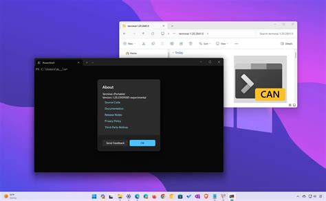如何安装 Canary 版本的 Windows 终端