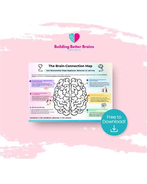 Download Your Brain Connection Map Building Better Brains™