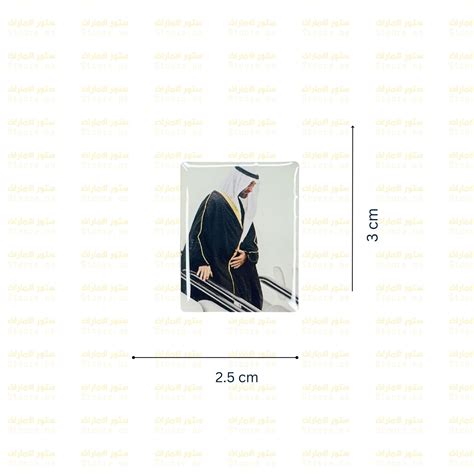 Badge Sheikh Mohammed Bin Zayed Al Nahyan 12