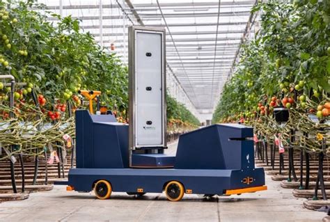 Yield Prediction In Vine Tomatoes Towards One Robot For All Tomato Varieties