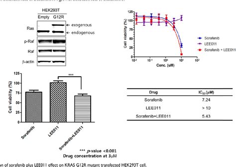 Pdf Antitumor Activity Of Sorafenib Plus Cdk46 Inhibitor In