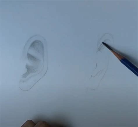 Oren Tekenen In Makkelijke Stappen Mandy Groot Mandy Groot