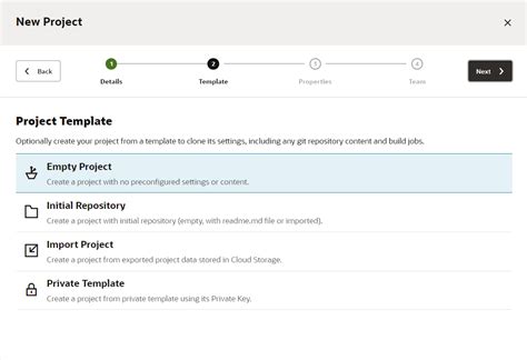 How To Make Dff Visible And Mandatory On Redwood Ui — Cloud Customer