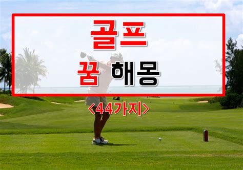 골프 꿈 44가지 해몽 골프치는 꿈 골프하는 꿈 골프 배우는 꿈 골프공 꿈 골프채 꿈 Helpful Information