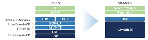 segment routing and sr mpls with ocnos open networking ip infusion