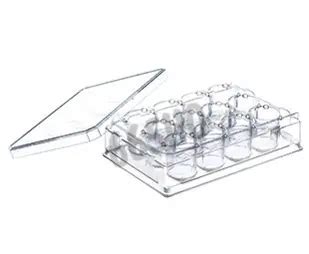 Plaque Deepwell stérile avec couvercle pour thincert 12 puits
