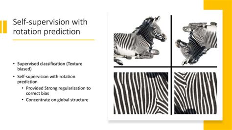 Using Self Supervised Learning Can Improve Model Robustness And