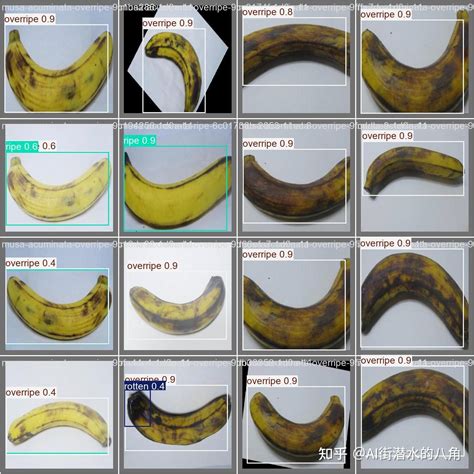 香蕉成熟度检测和识别3：基于深度学习yolov5神经网络实现香蕉成熟度检测和识别含训练代码、数据集和gui交互界面 知乎