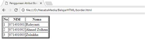Penggunaan Atribut Bgcolor Rules Dan Border Html Table