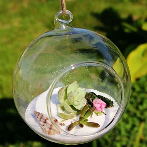 Hot Terrarium Ball Globe Shape Clear Hanging Glass Vase Flower Plants
