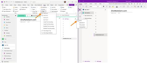 The Difference Between The Sort Pages In Onenote 2024 And Gem Add In Is