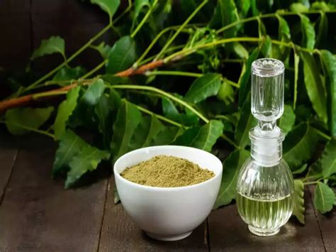 Wrinkles Home Remedies सोने से पहले जरुर लगाएं ये तेल गायब हो जाएंगी