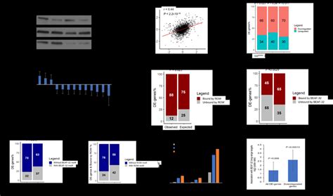 Knockdown Of Row Or Beaf 32 In S2 Cells Causes Downregulation Of A