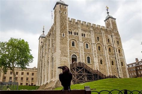 Flash sul mondo di tutto di più I Corvi della Torre di Londra i
