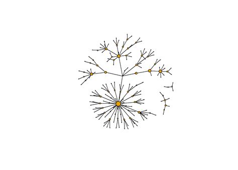 20 Network Analysis in R R语言笔记