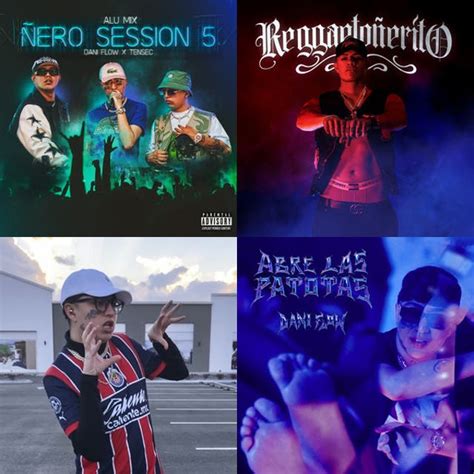 Dani Flow El Bogueto playlist by abrilᵕ Spotify
