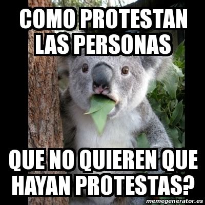 Meme Koala Como Protestan Las Personas Que No Quieren Que Hayan Protestas