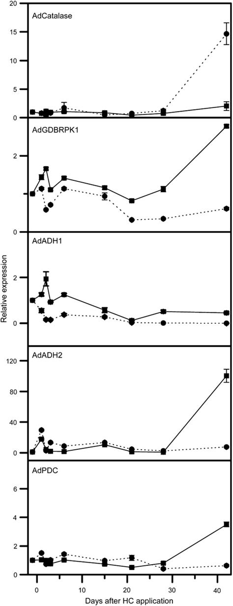 Expression Analysis Of Kiwifruit Homologues To Of Hydrogen Cyanamide